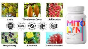 Mitolyn Ingredients - Mitolym Purple Peel Exploit - Support Sustainable ...